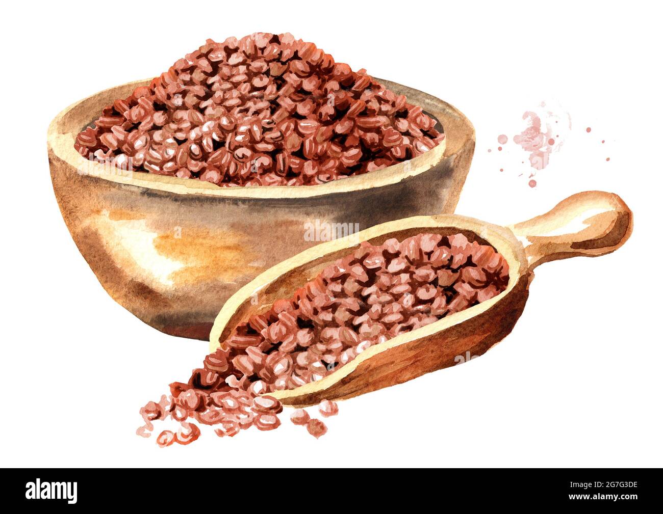 Red quinoa seeds in the bowl. Hand drawn watercolor illustration ...