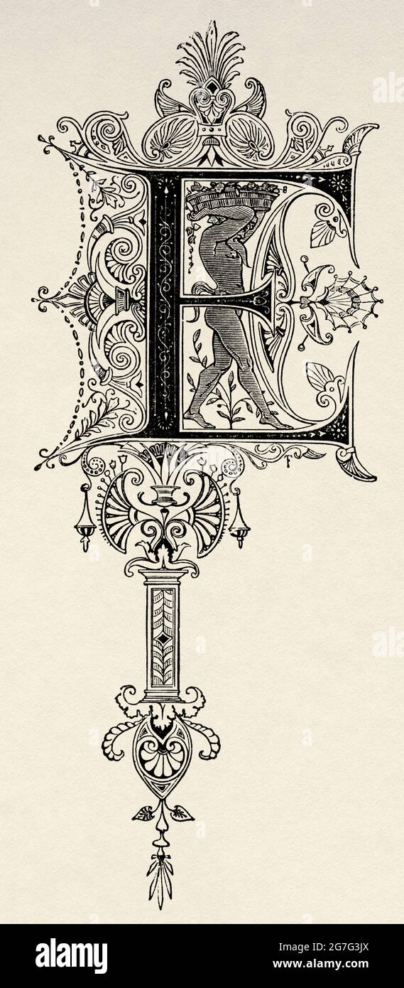 Calligraphic Design Font. Initial letter E. Old 19th century engraved ...