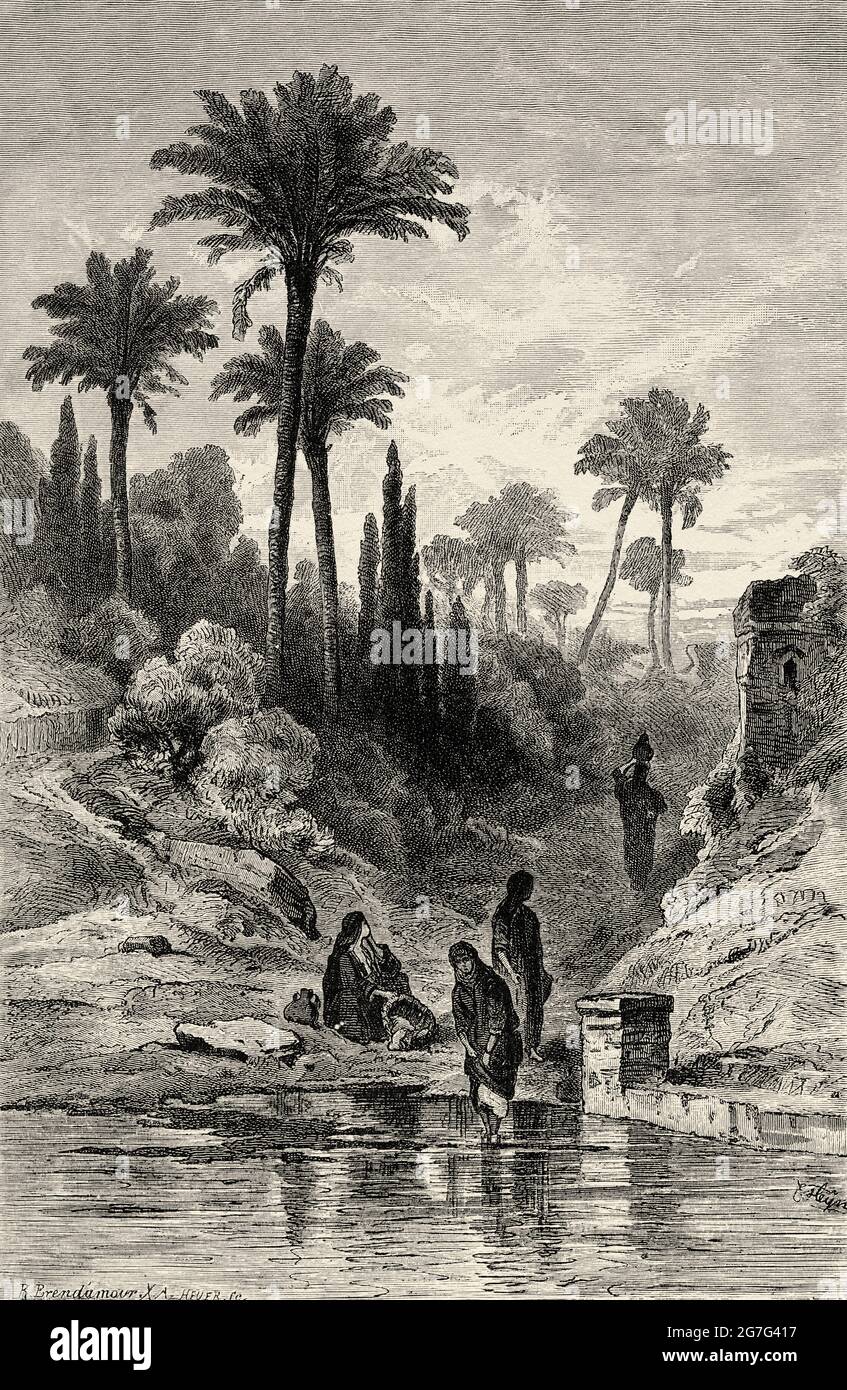 On the banks of the old Cairo canal, Egypt, North Africa. Old 19th ...