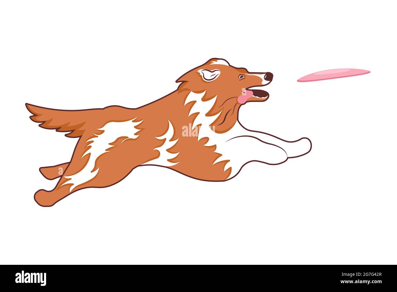 Can All Dogs Play Frisbee