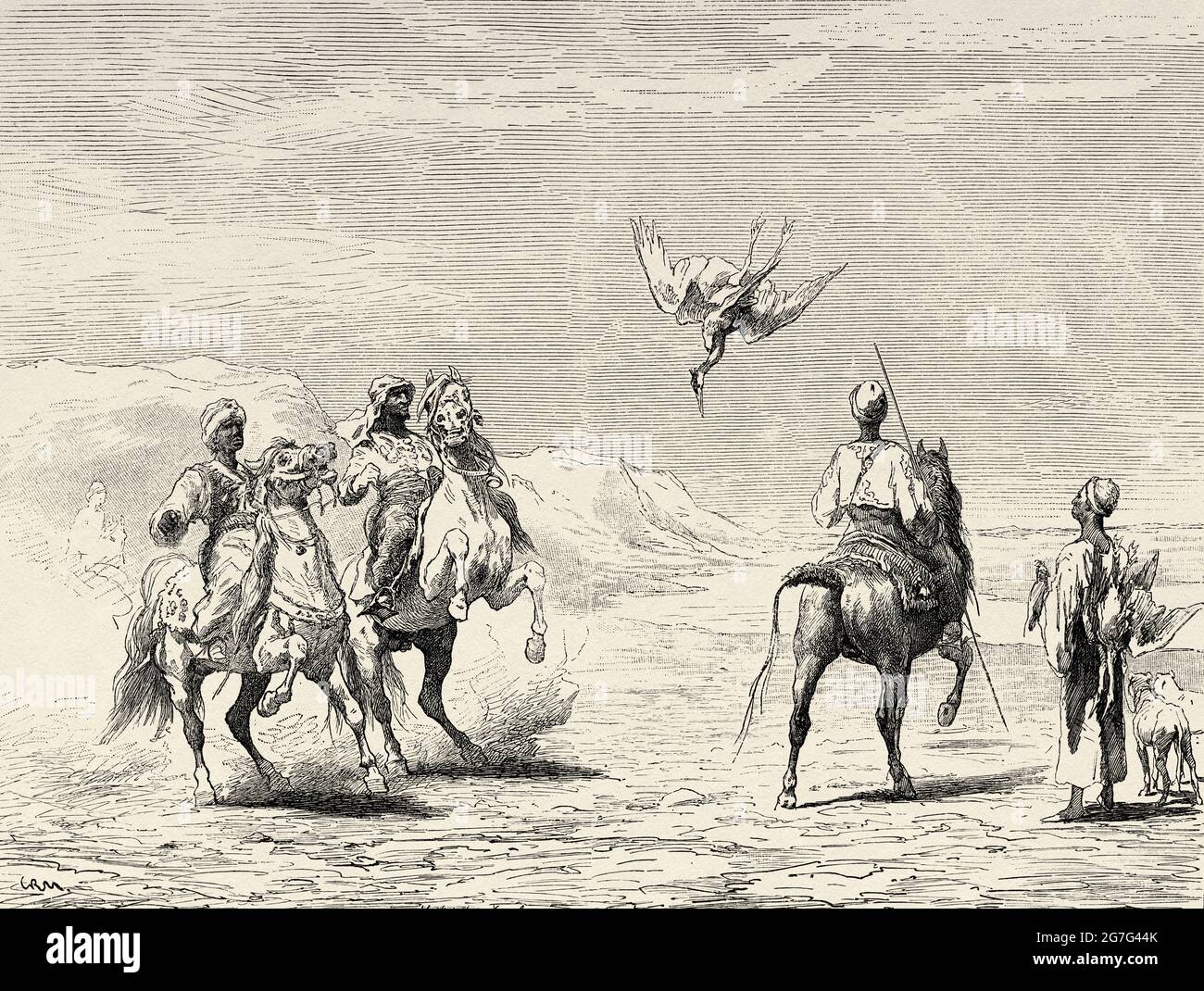 Ancient tradition of hunting the gray heron. Egypt, North Africa. Old ...