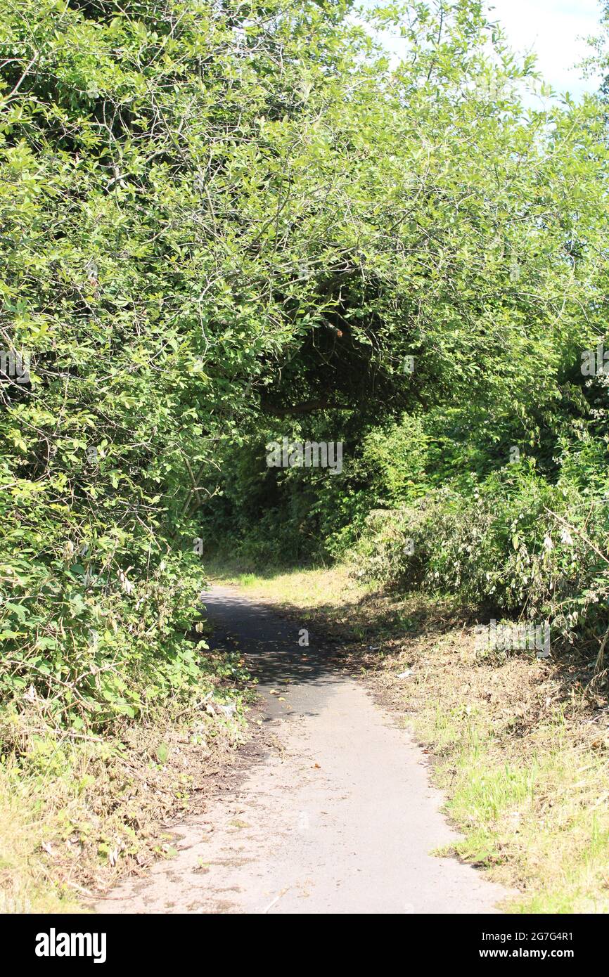 Woodland pathway uk hi-res stock photography and images - Alamy