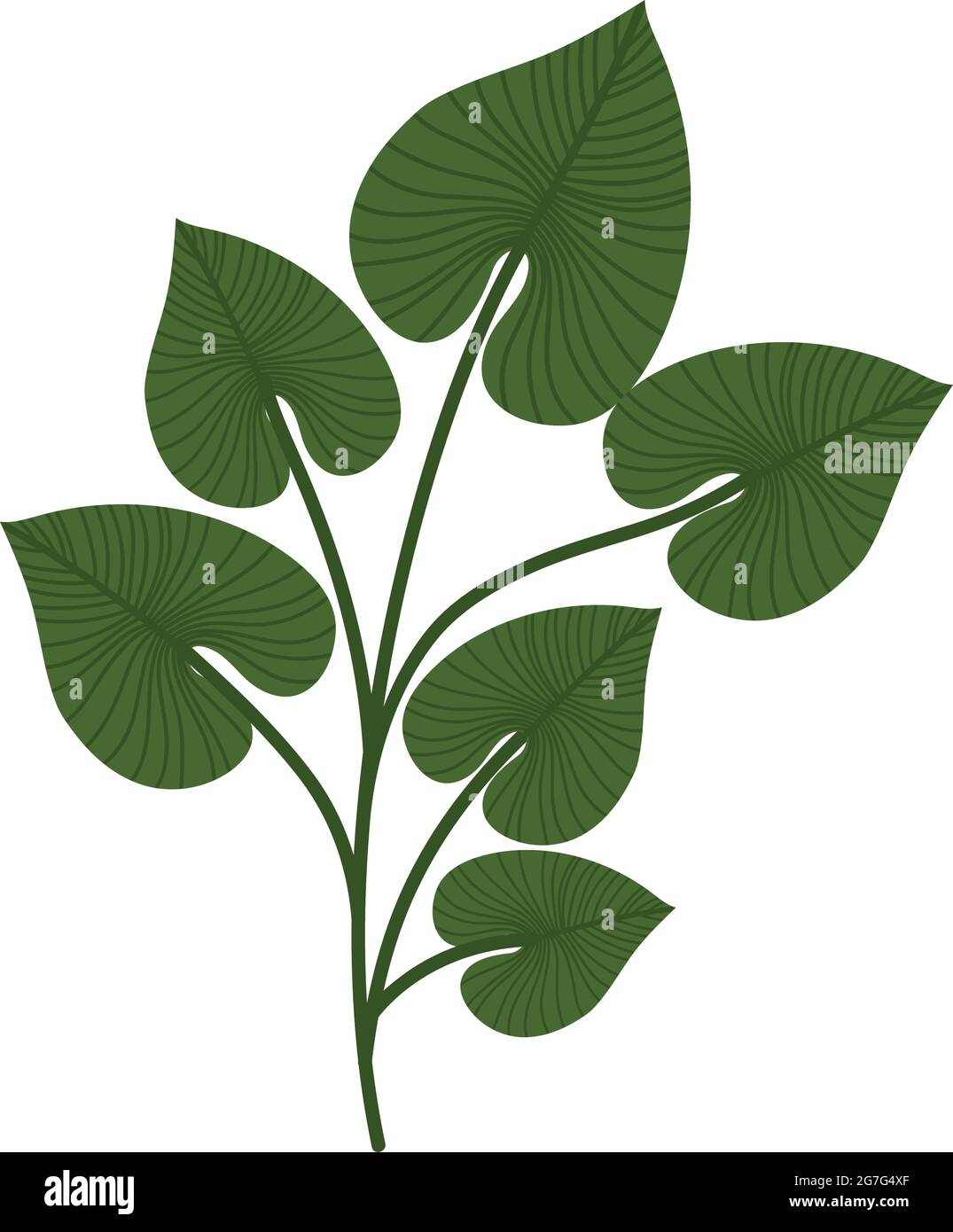 oval leaves design Stock Vector Image & Art - Alamy