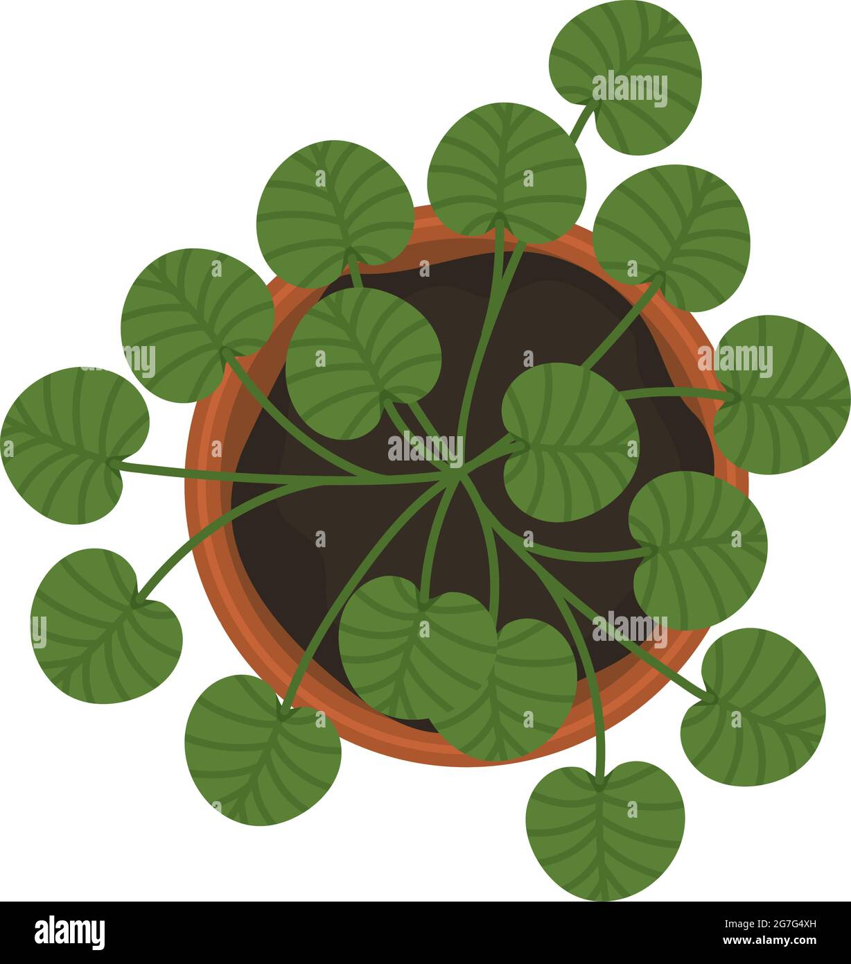 pelted plant design Stock Vector Image & Art - Alamy