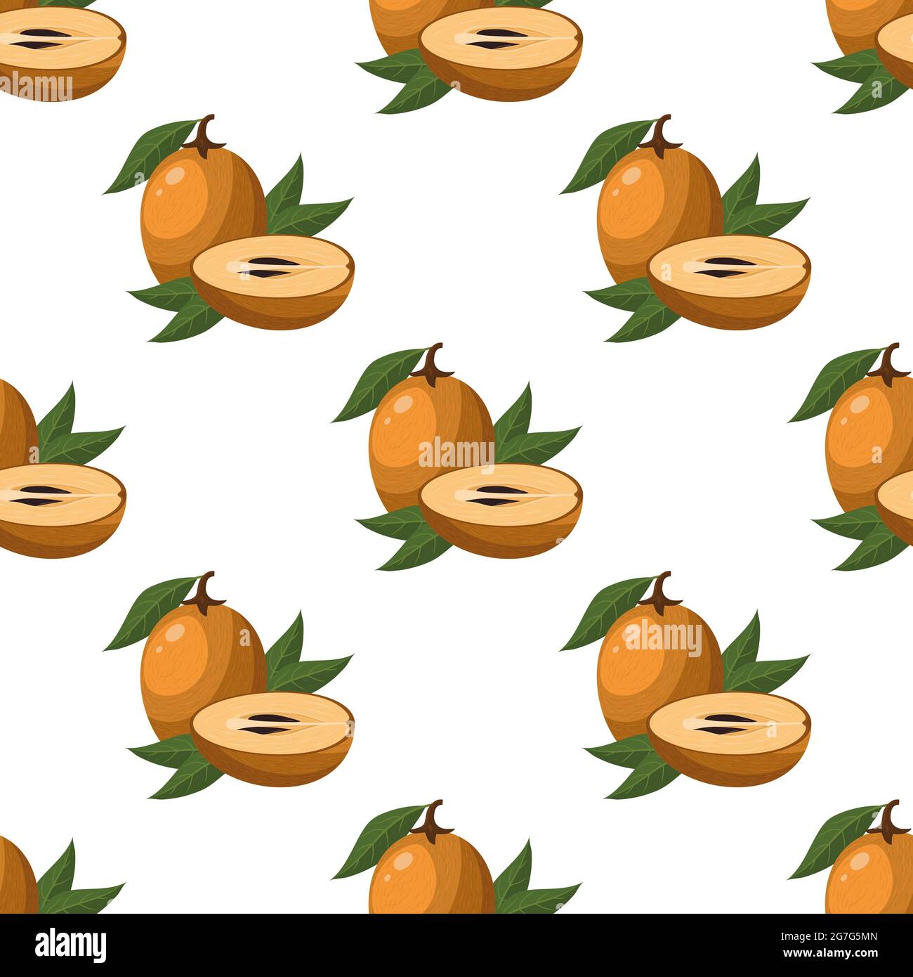 Seamless pattern with fresh sapodilla fruits isolated on white ...