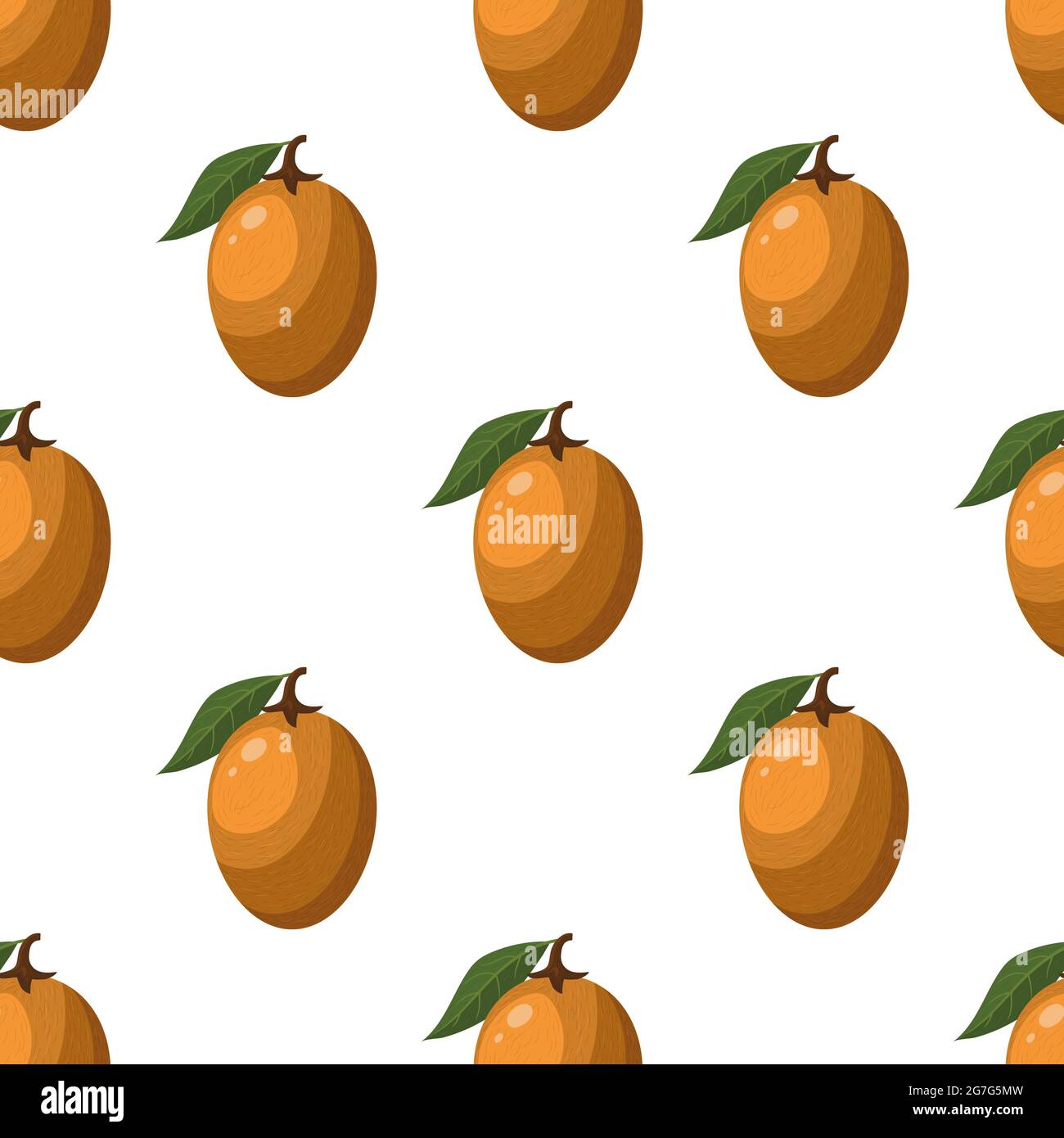 Seamless pattern with fresh sapodilla fruits isolated on white ...