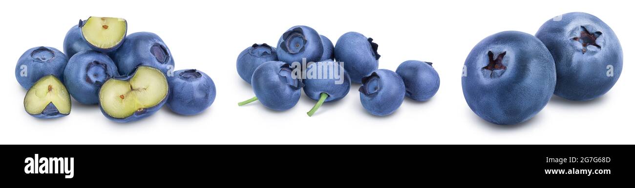 fresh blueberry isolated on white background closeup with full depth of ...