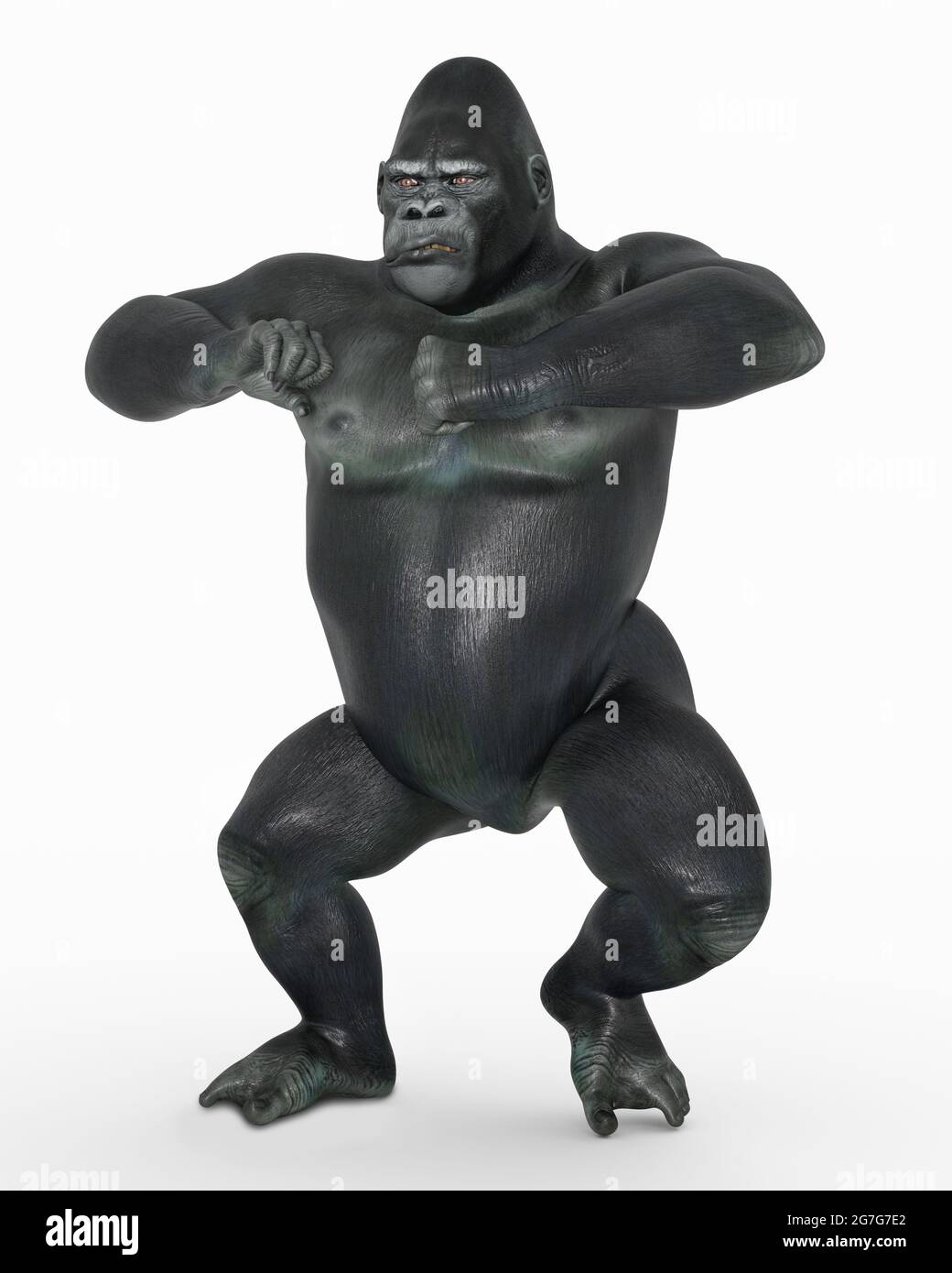 Chimpanzee Muscle System