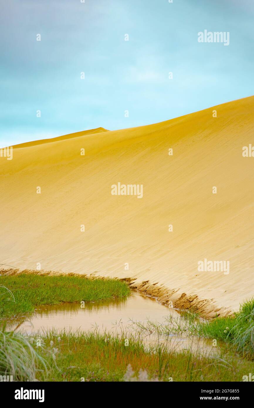Te-Paki Giant Sand Dunes in Pukenui, North Island New Zealand Stock ...