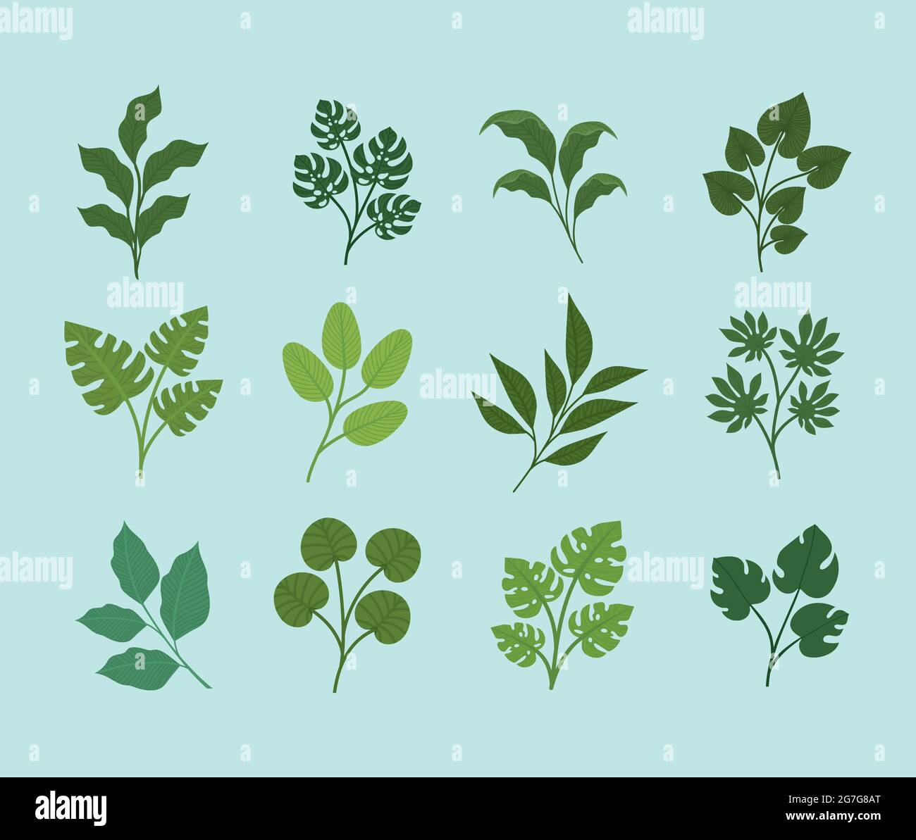 twelve leaves design Stock Vector Image & Art - Alamy