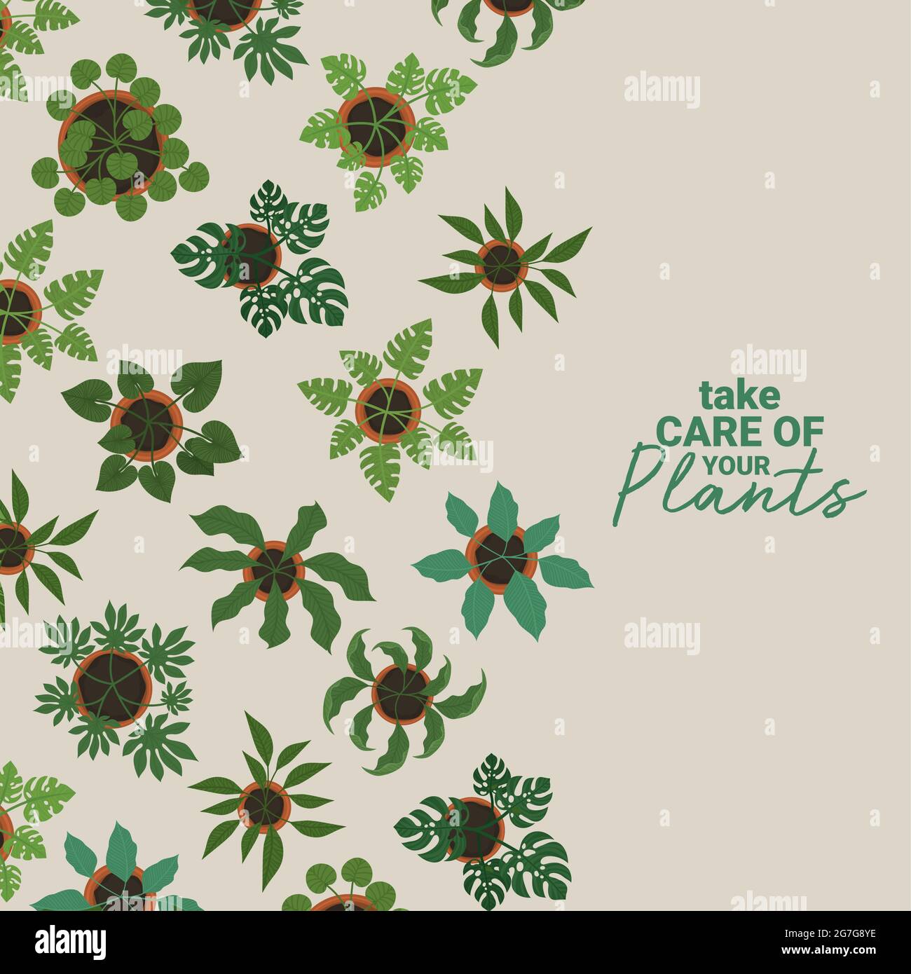 pretty plant card Stock Vector Image & Art - Alamy