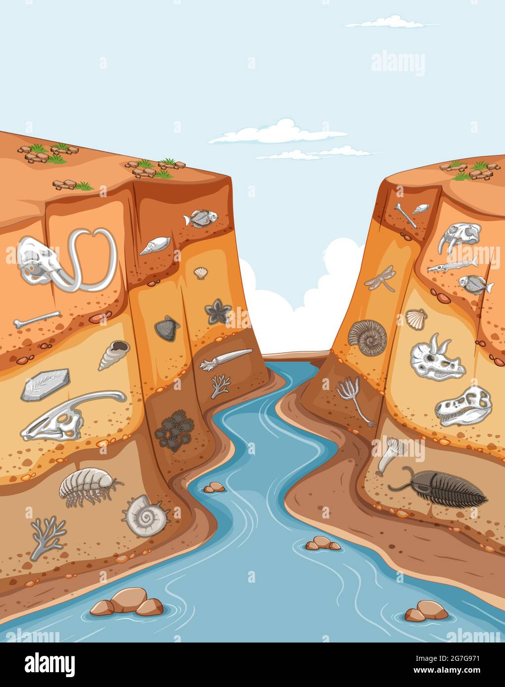 Plant and animal fossils fossil Stock Vector Images - Alamy