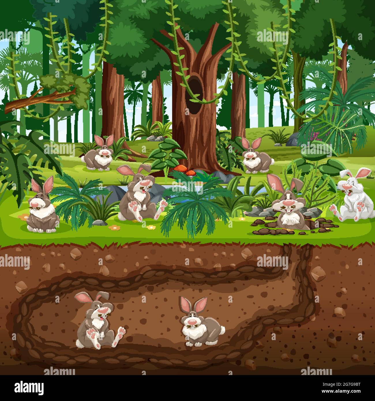Underground animal burrow with rabbit family illustration Stock Vector Image & Art - Alamy