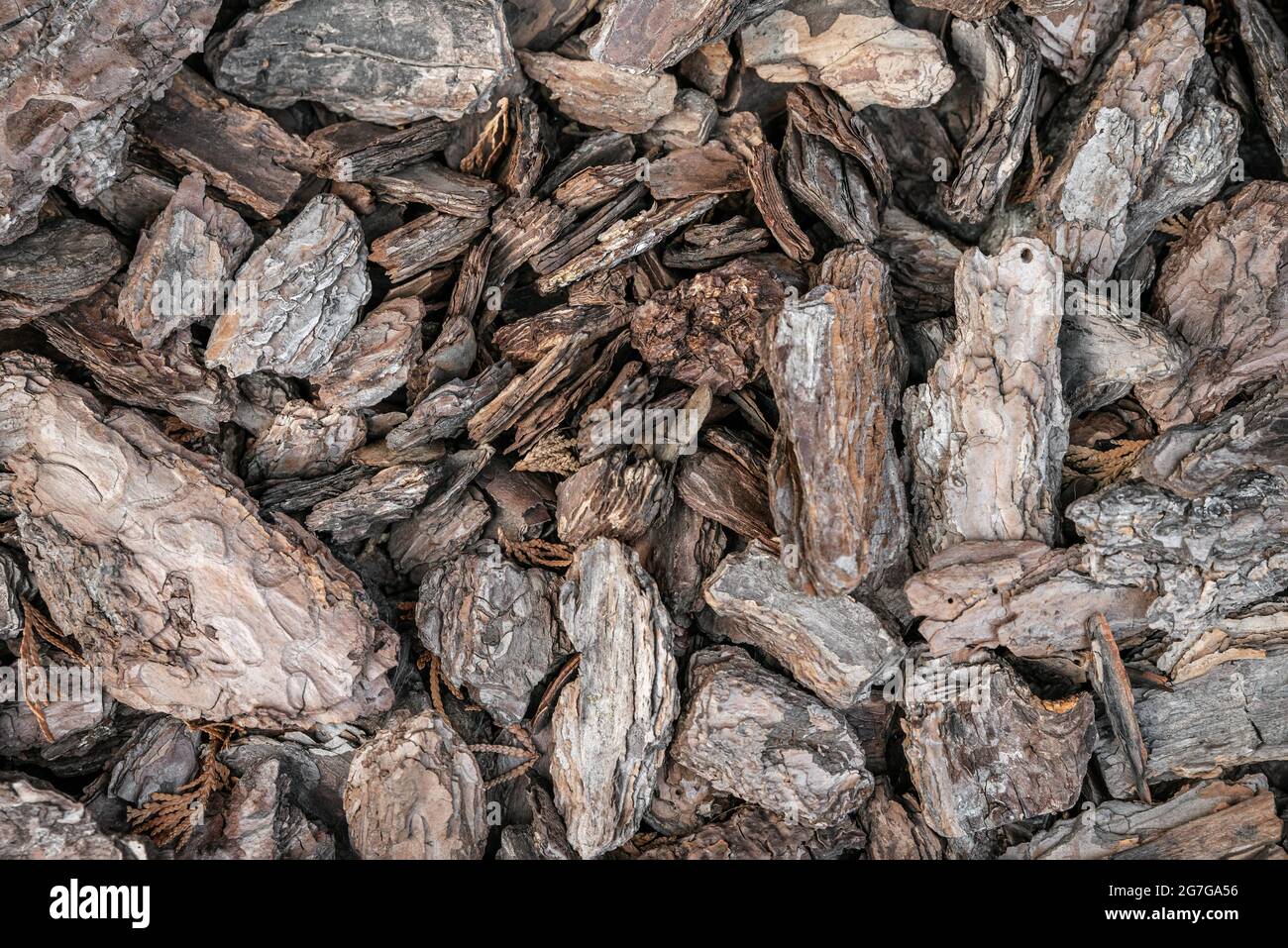 Tree Bark Chips