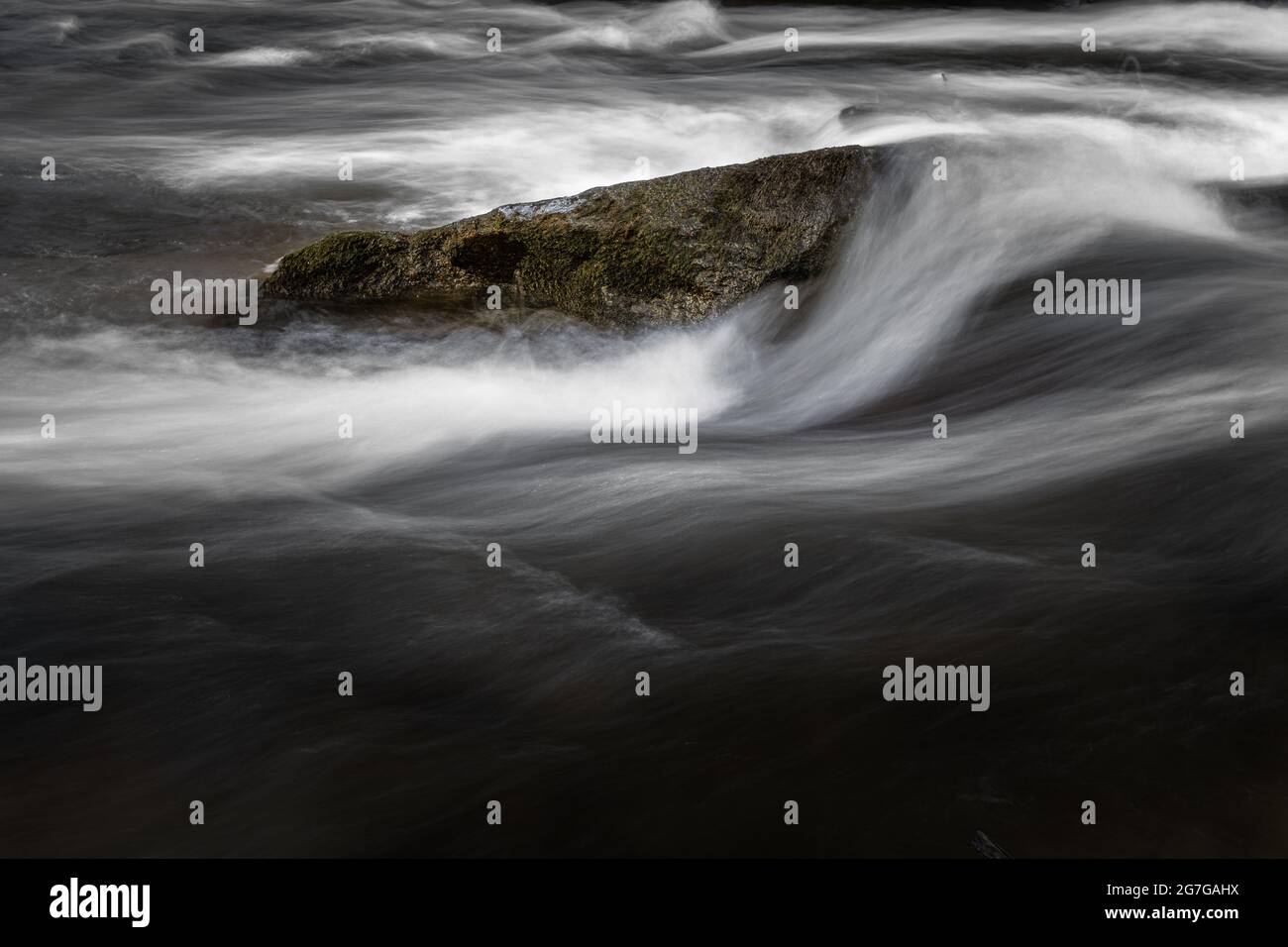 Silence in nature hi-res stock photography and images - Alamy