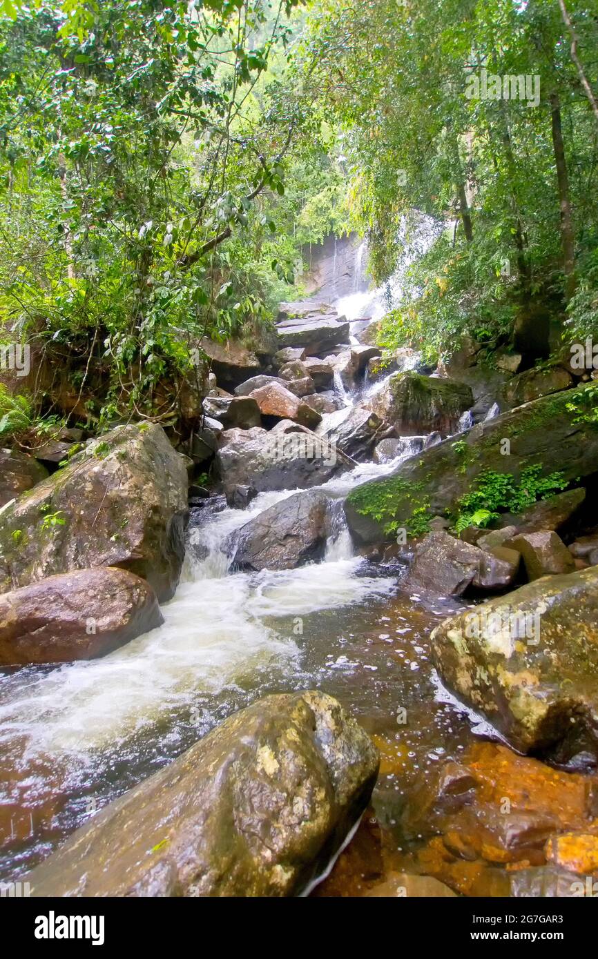 Waterfall, Sinharaja National Park Rain Forest, Sinharaja Forest ...