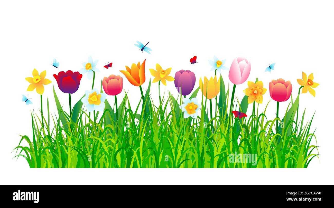 Colorful flowers with green grass isolated on white background. Vector ...