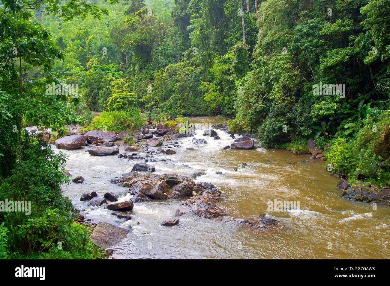 Rainforest River, Sinharaja National Park Rain Forest, Sinharaja Forest Reserve, World Heritage ...