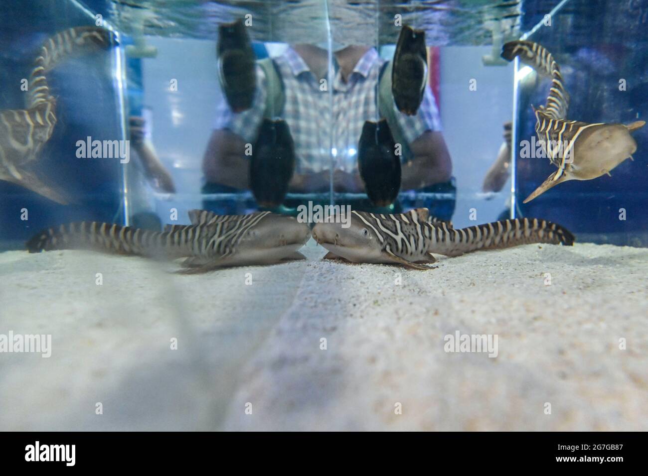 Zhuhai City, China , 13 July 2021. **CHINESE MAINLAND, HONG KONG, MACAU ...