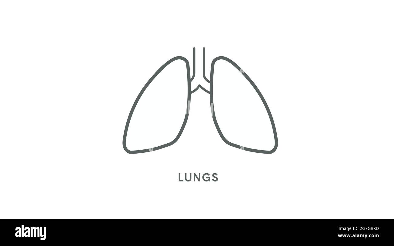 Lungs Icon. Vector isolated linear editable illustration of lungs Stock ...