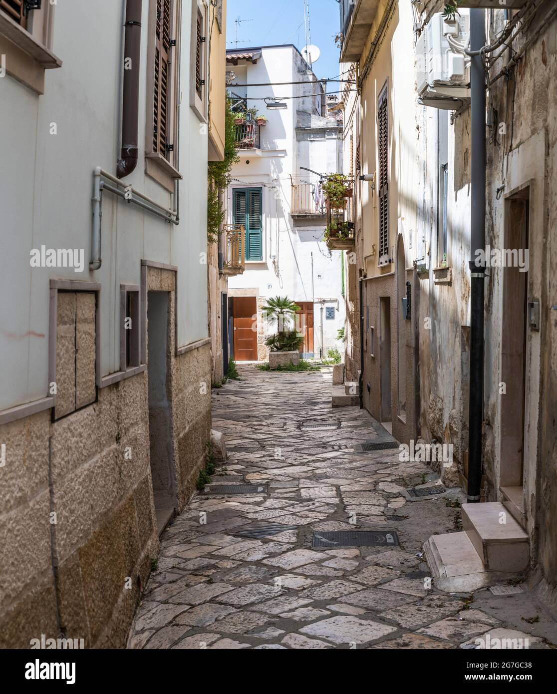 Altamura bakery hi-res stock photography and images - Alamy