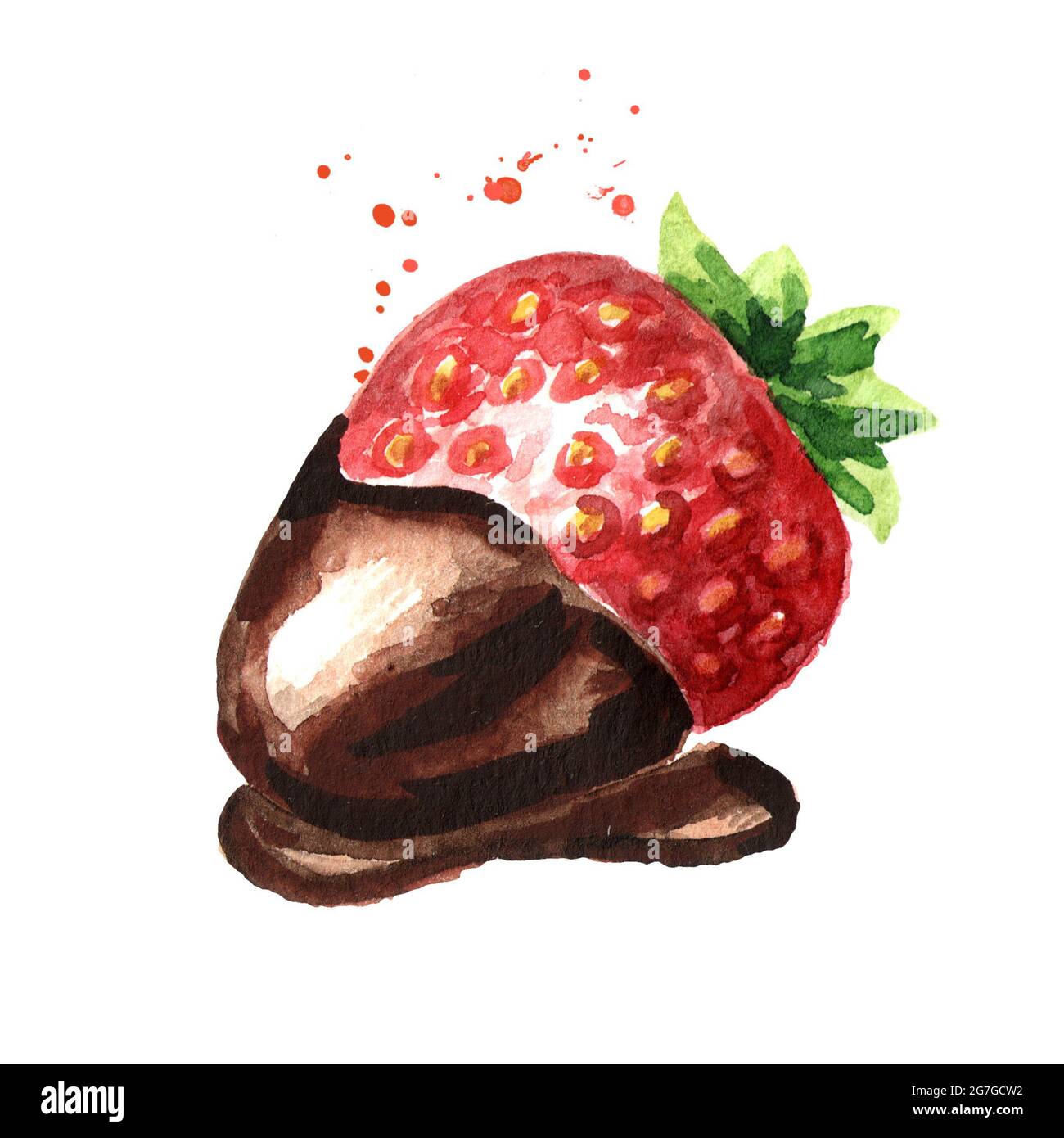 Strawberry in chocolate. Watercolor hand drawn illustration isolated on ...
