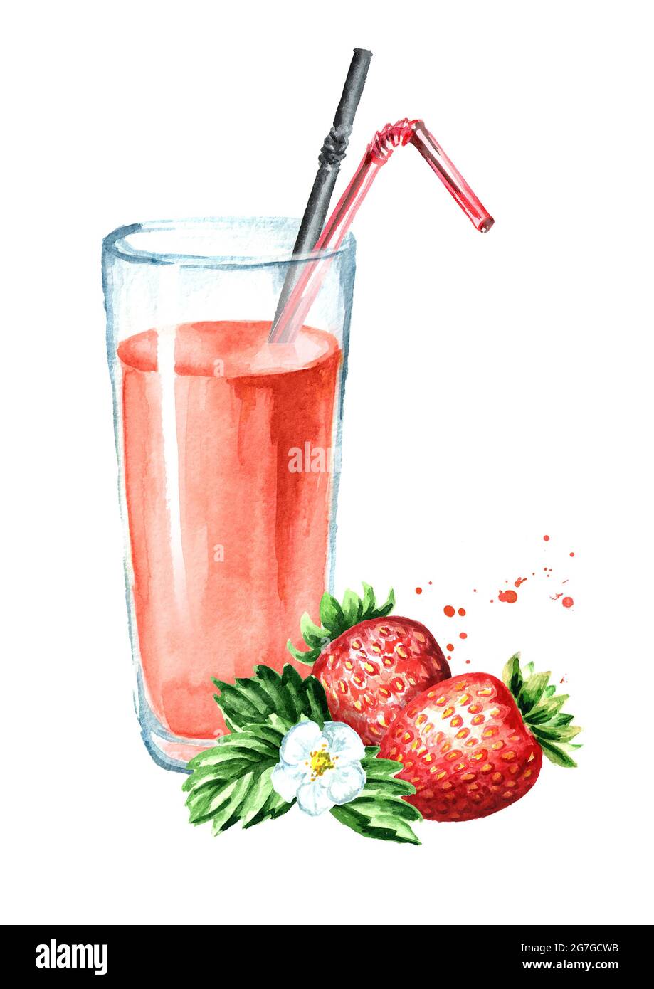 Glass of strawberry Juice with fresh berries. Watercolor hand drawn ...