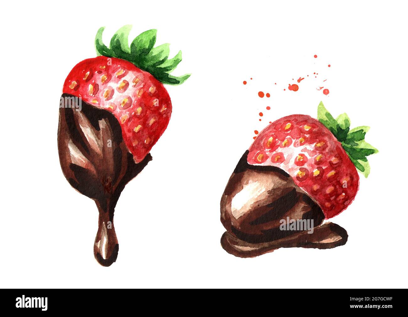 Strawberry in chocolate set. Watercolor hand drawn illustration ...