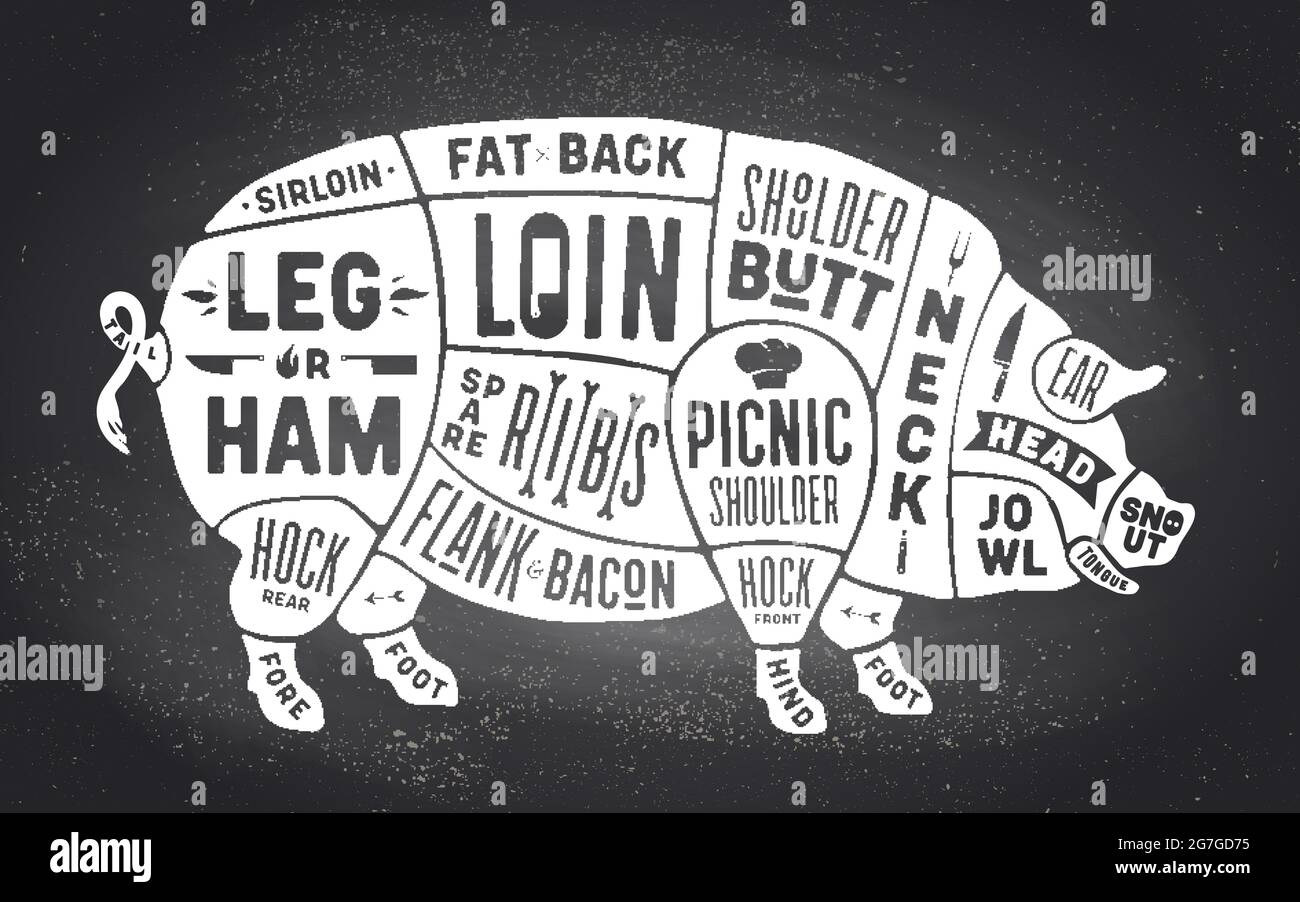 Pork, pig. Scheme, diagram, chart pork, butcher guide. Vintage retro ...