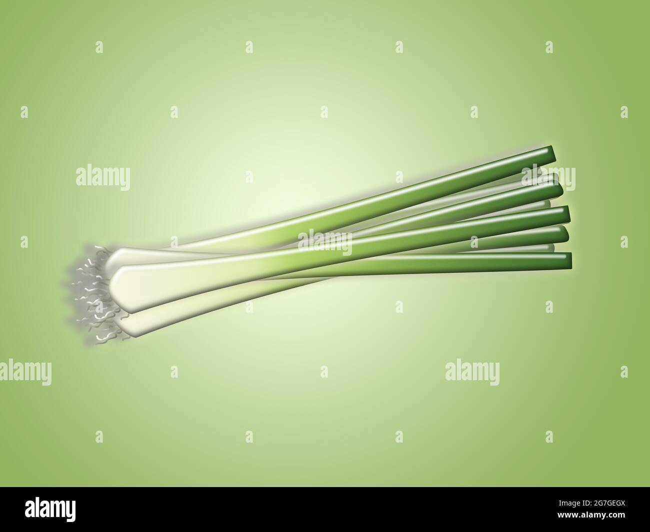 Illustration of some Spring Onions. This illustration is part of a ...