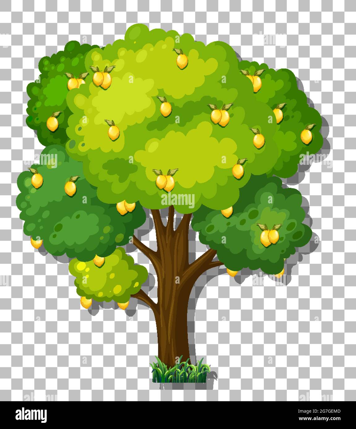 Lemon tree on transparent background illustration Stock Vector Image & Art - Alamy
