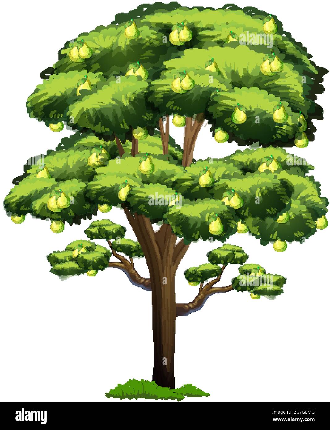 Pear tree in cartoon style isolated on white background illustration ...
