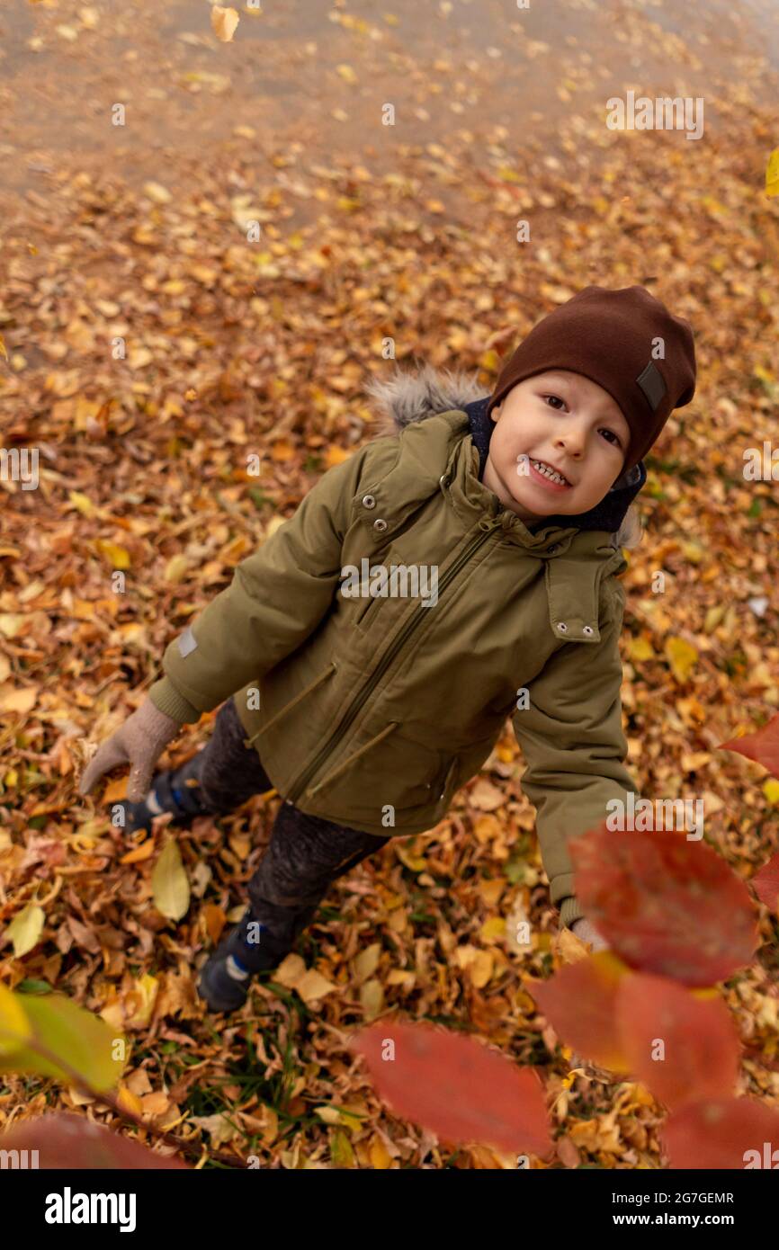 Young toddler boy stand on fallen leaves, autumn. Top view, Selective ...