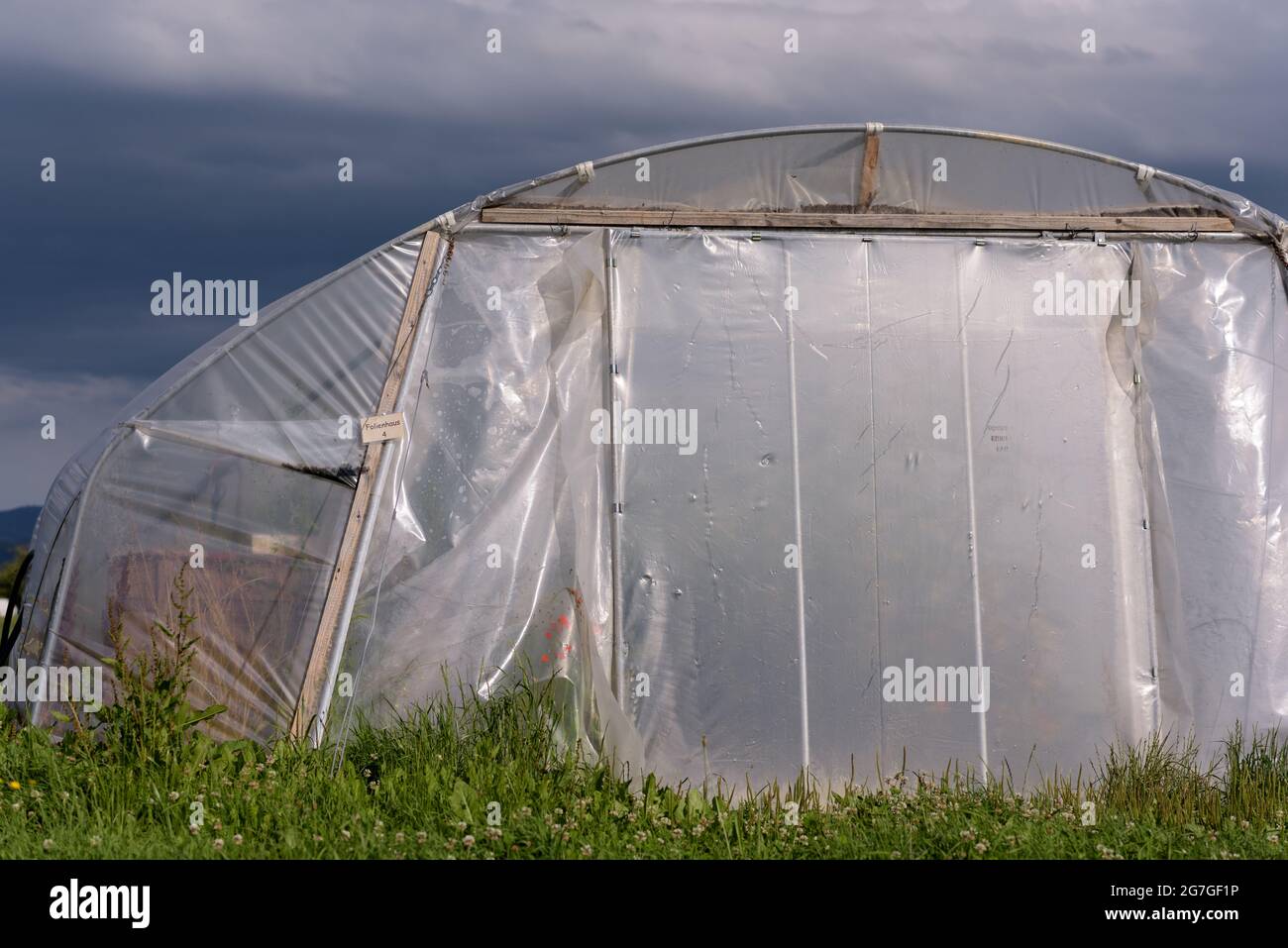 Greenhouse under storm Stock Photo - Alamy