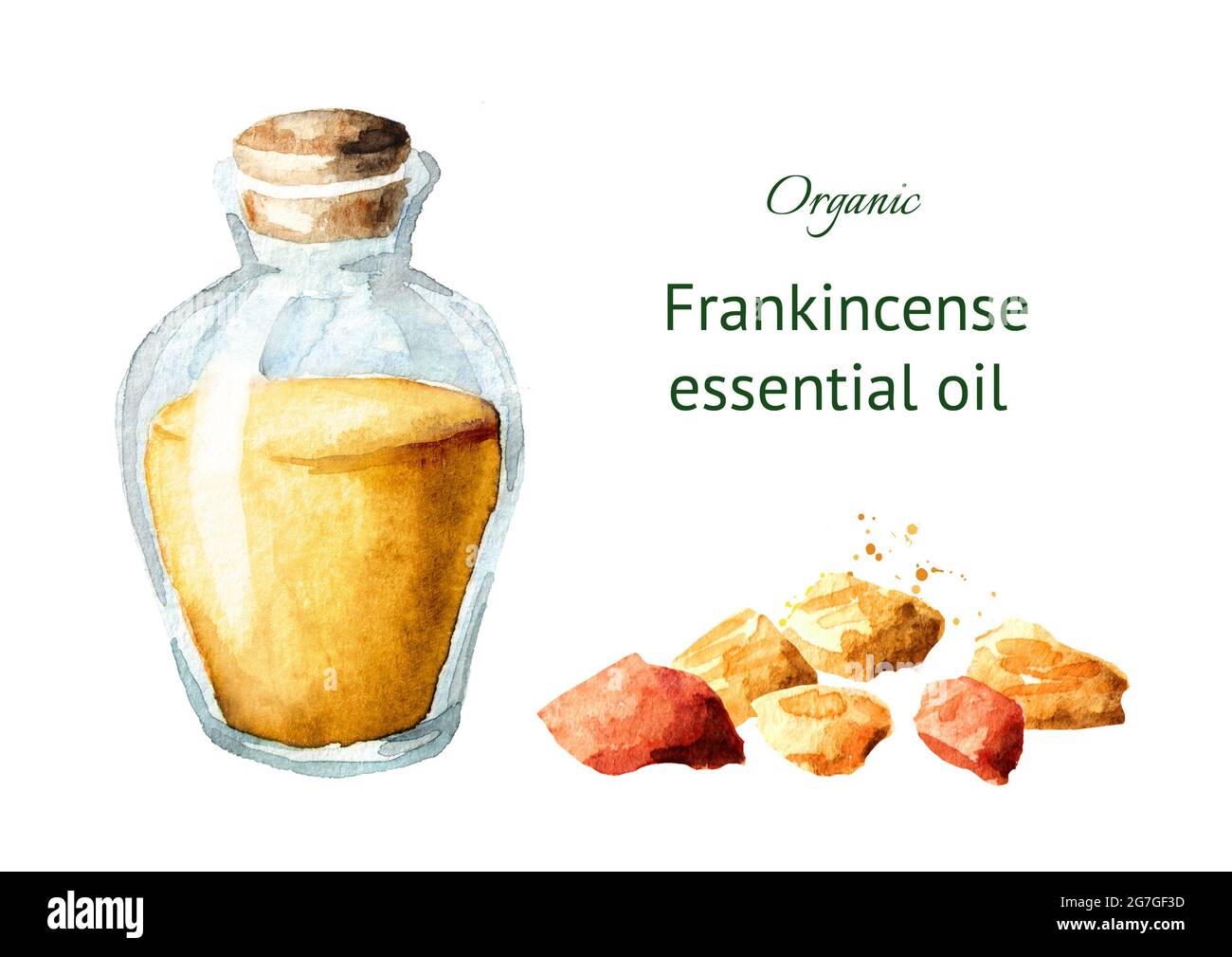 A bottle of frankincense essential oil with frankincense resin ...