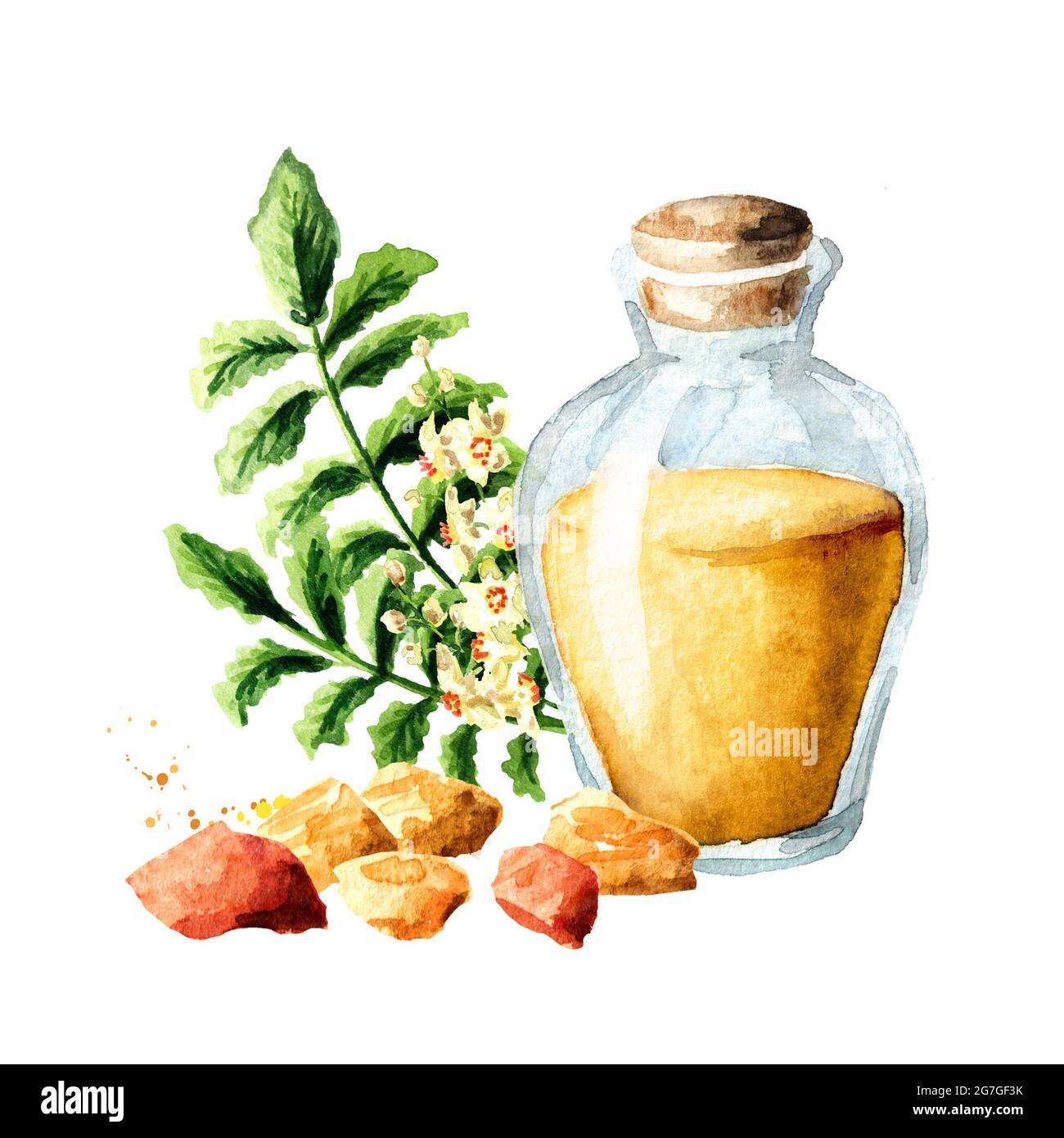 A bottle of frankincense essential oil with frankincense resin and ...