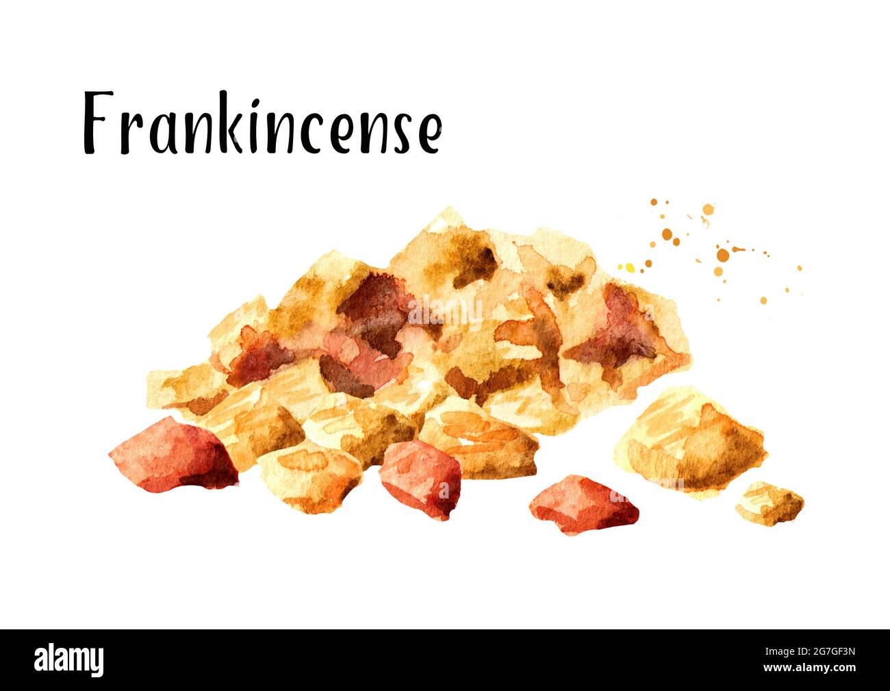 Frankincense dhoop. Watercolor hand drawn illustration, isolated on ...