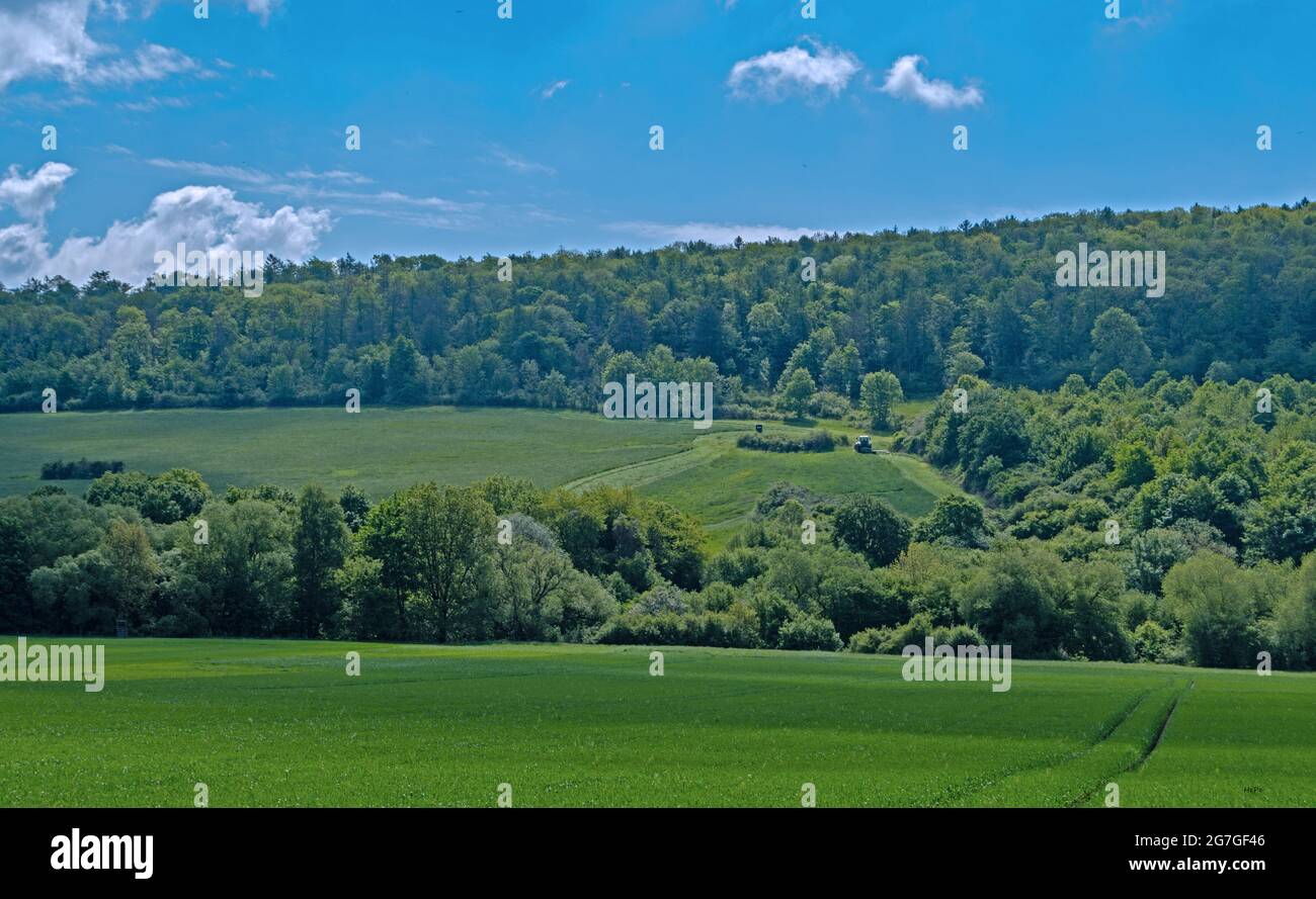 Sommer baum landschaft hi-res stock photography and images - Alamy