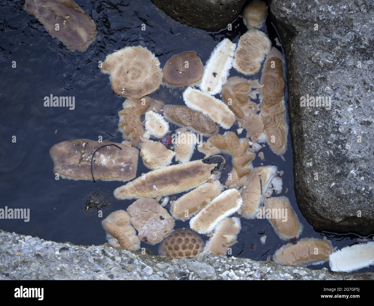 Nimble bread hi-res stock photography and images - Alamy
