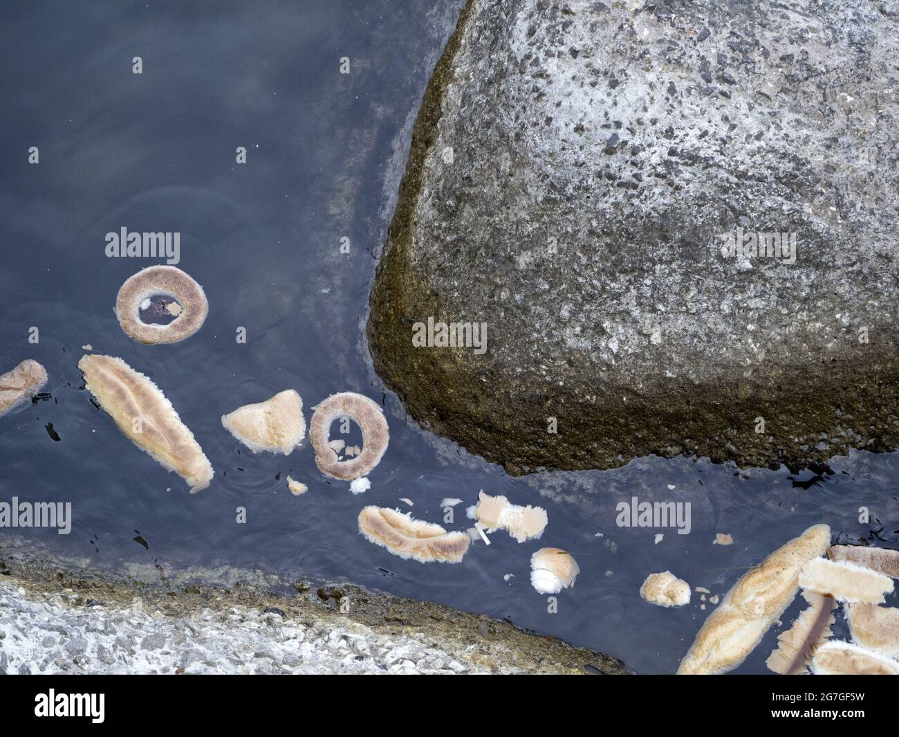 Nimble bread hi-res stock photography and images - Alamy