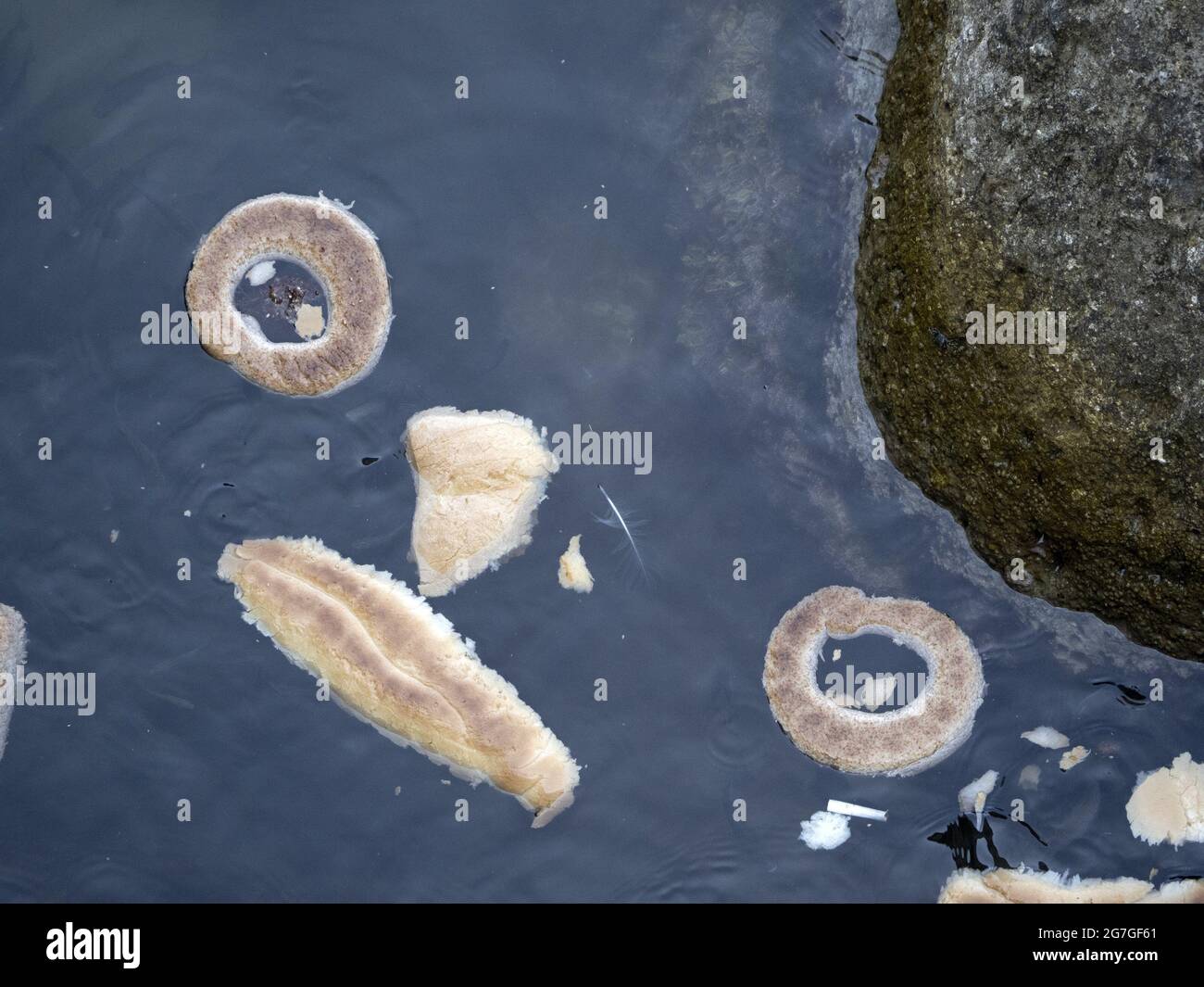 Nimble bread hi-res stock photography and images - Alamy