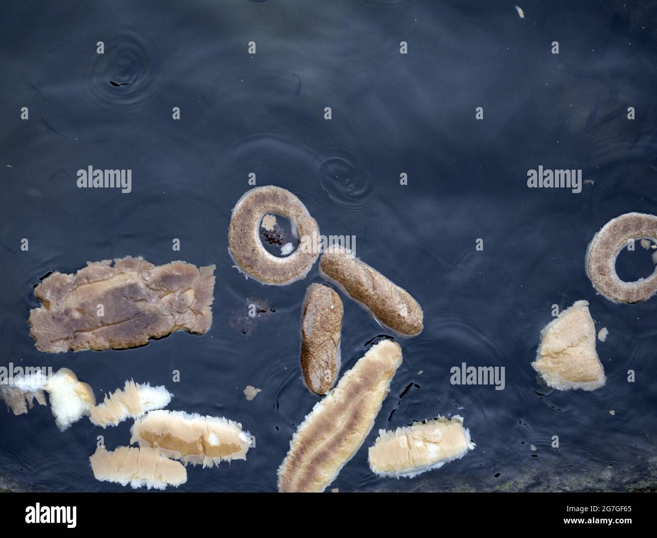 Nimble bread hi-res stock photography and images - Alamy