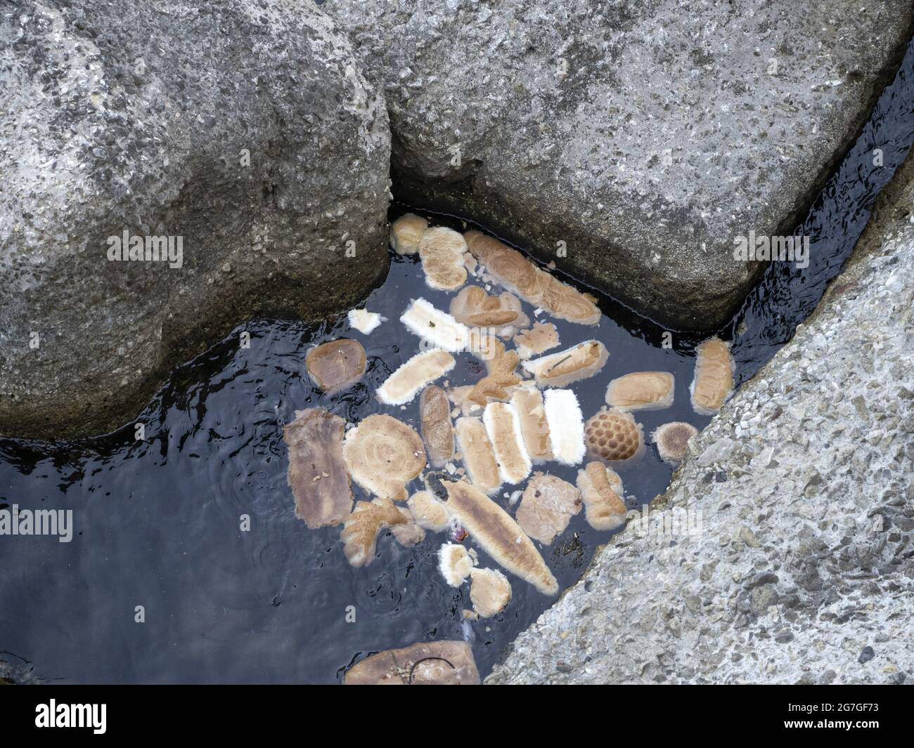 Nimble bread hi-res stock photography and images - Alamy