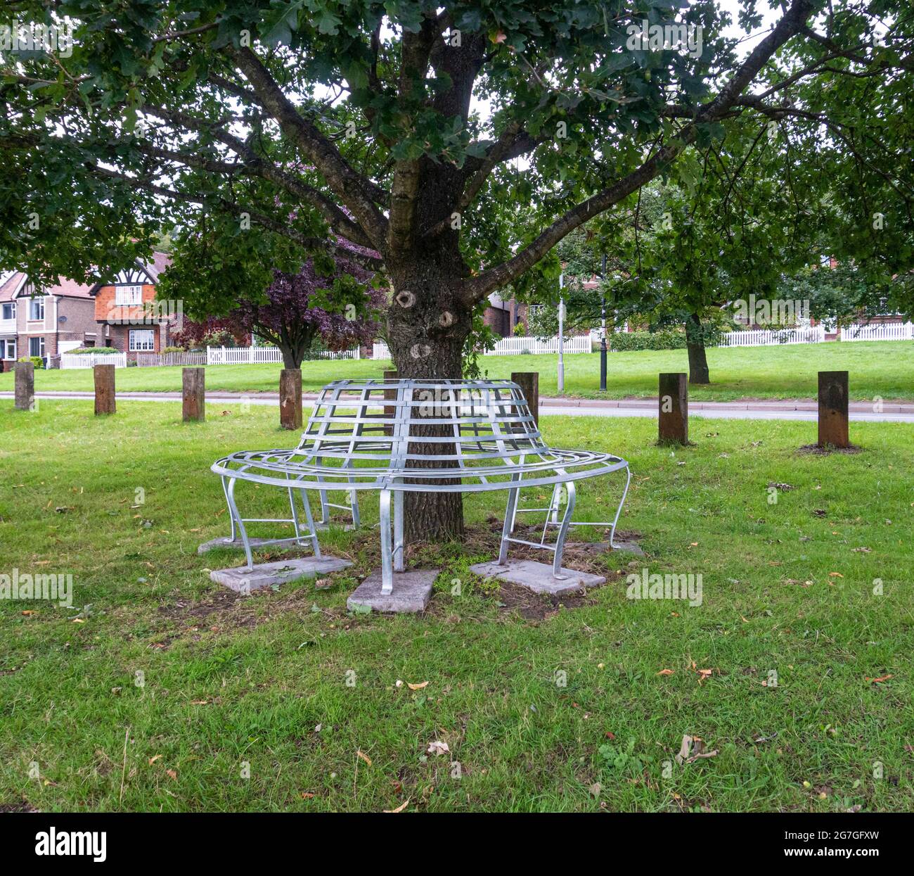 A circular bench around the trunk of a tree Stock Photo - Alamy