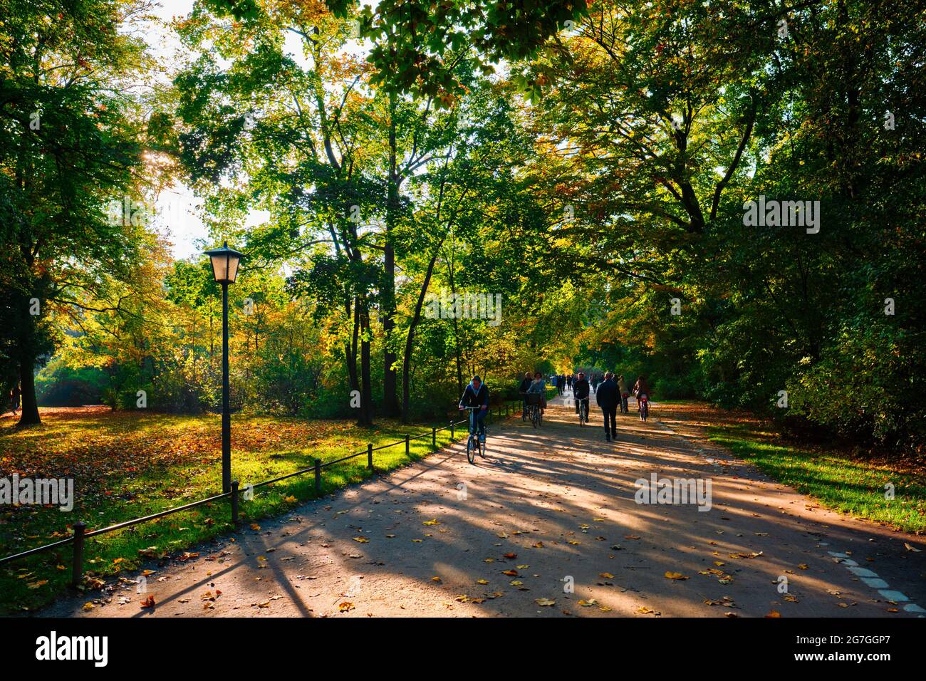 Golden autumn fall October in famous Munich public park - Englishgarten ...
