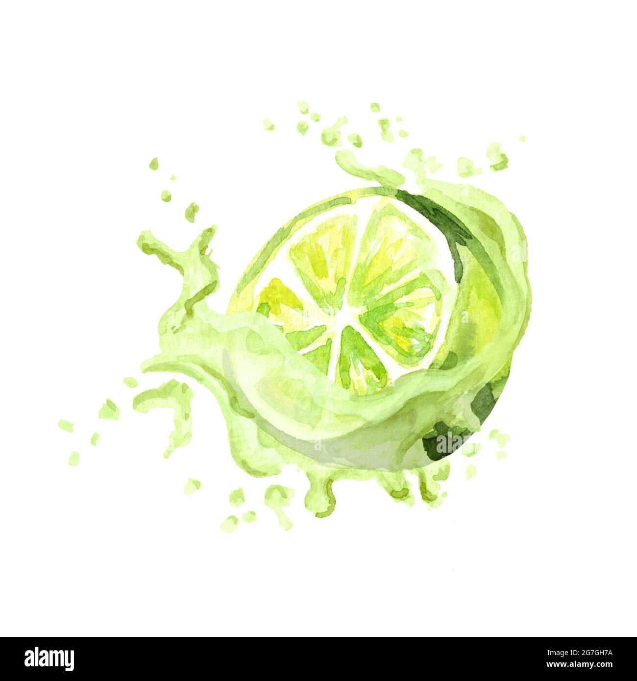 Fresh lime in juice splash isolated on white background. Watercolor ...