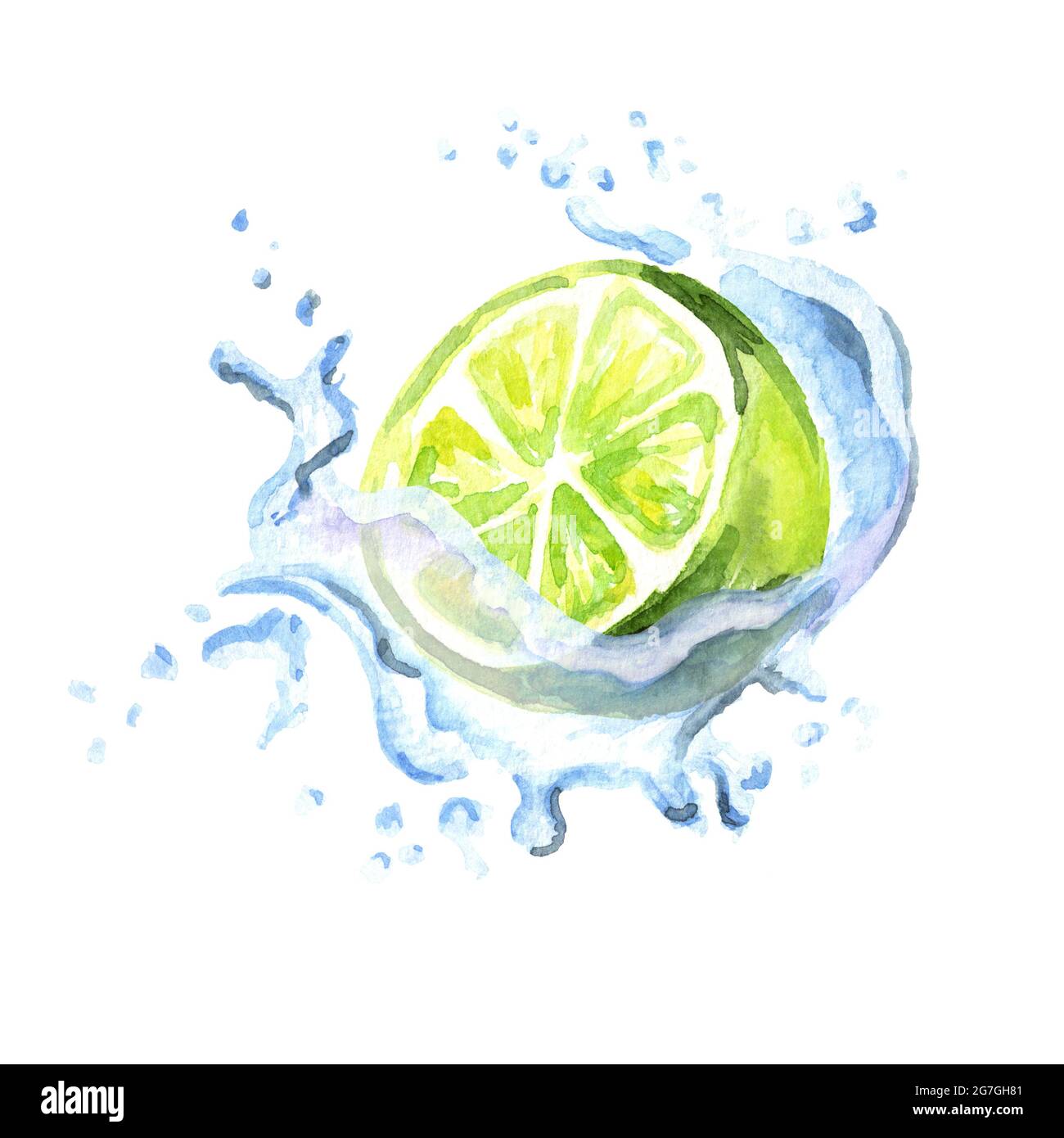 Fresh lime in splash isolated on white background. Watercolor hand ...