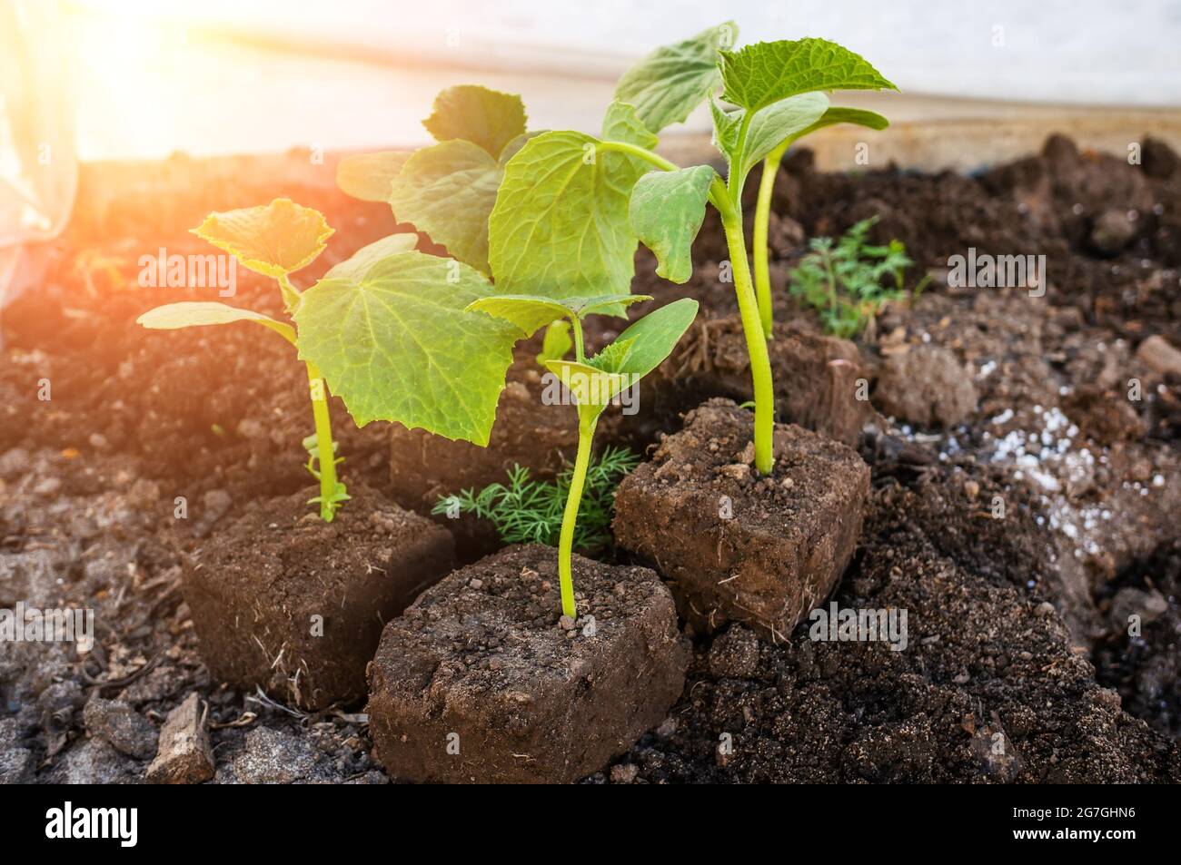 Peat blocks hi-res stock photography and images - Alamy