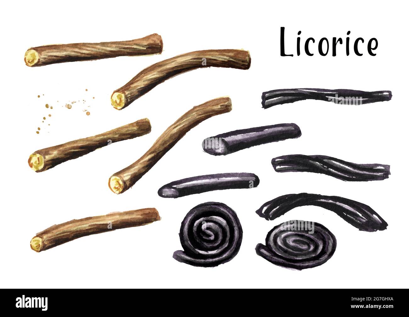 Liquorice roots with Licorice candies set. Watercolor hand drawn ...