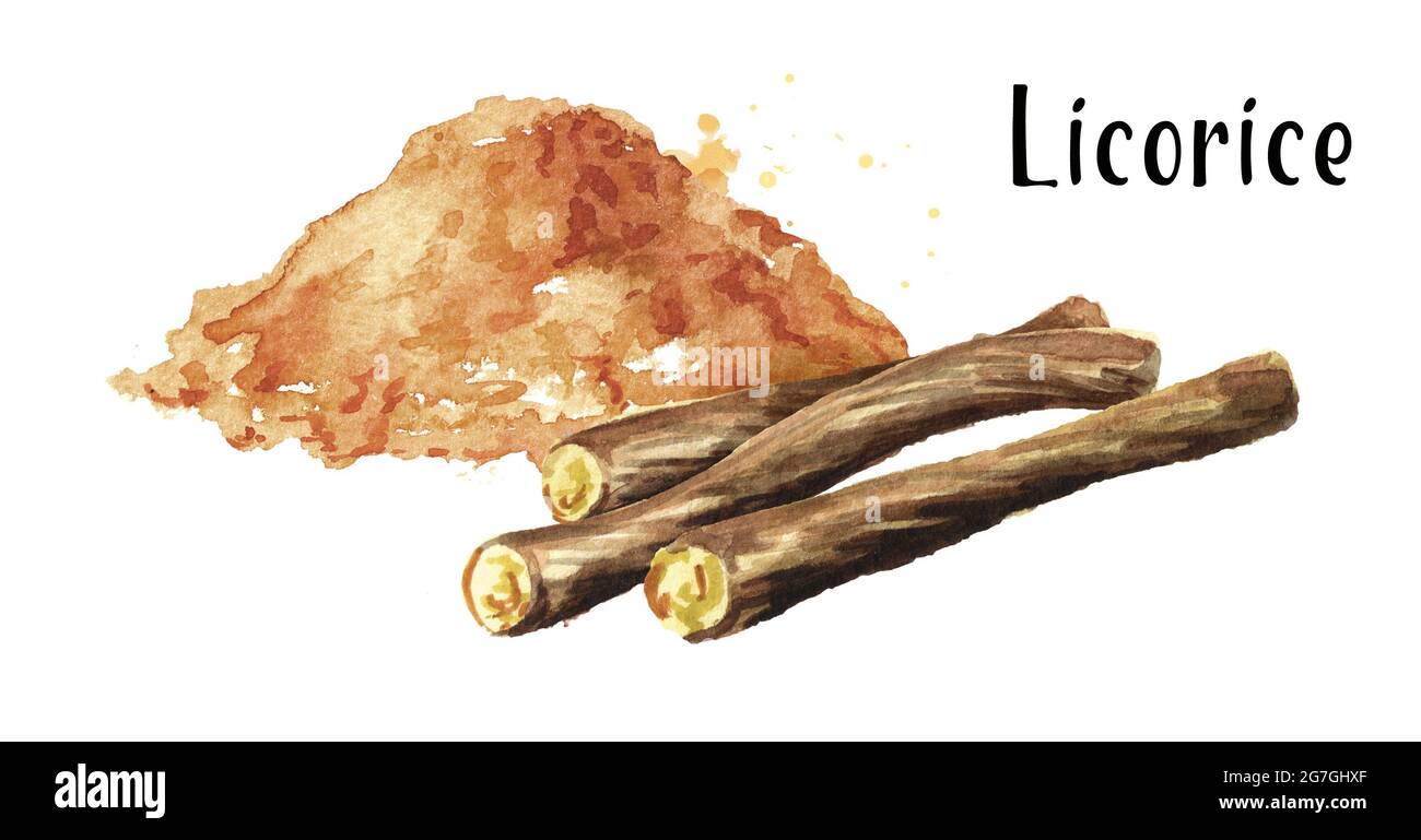 Pile of ground licorice with licorice roots. Watercolor hand drawn ...